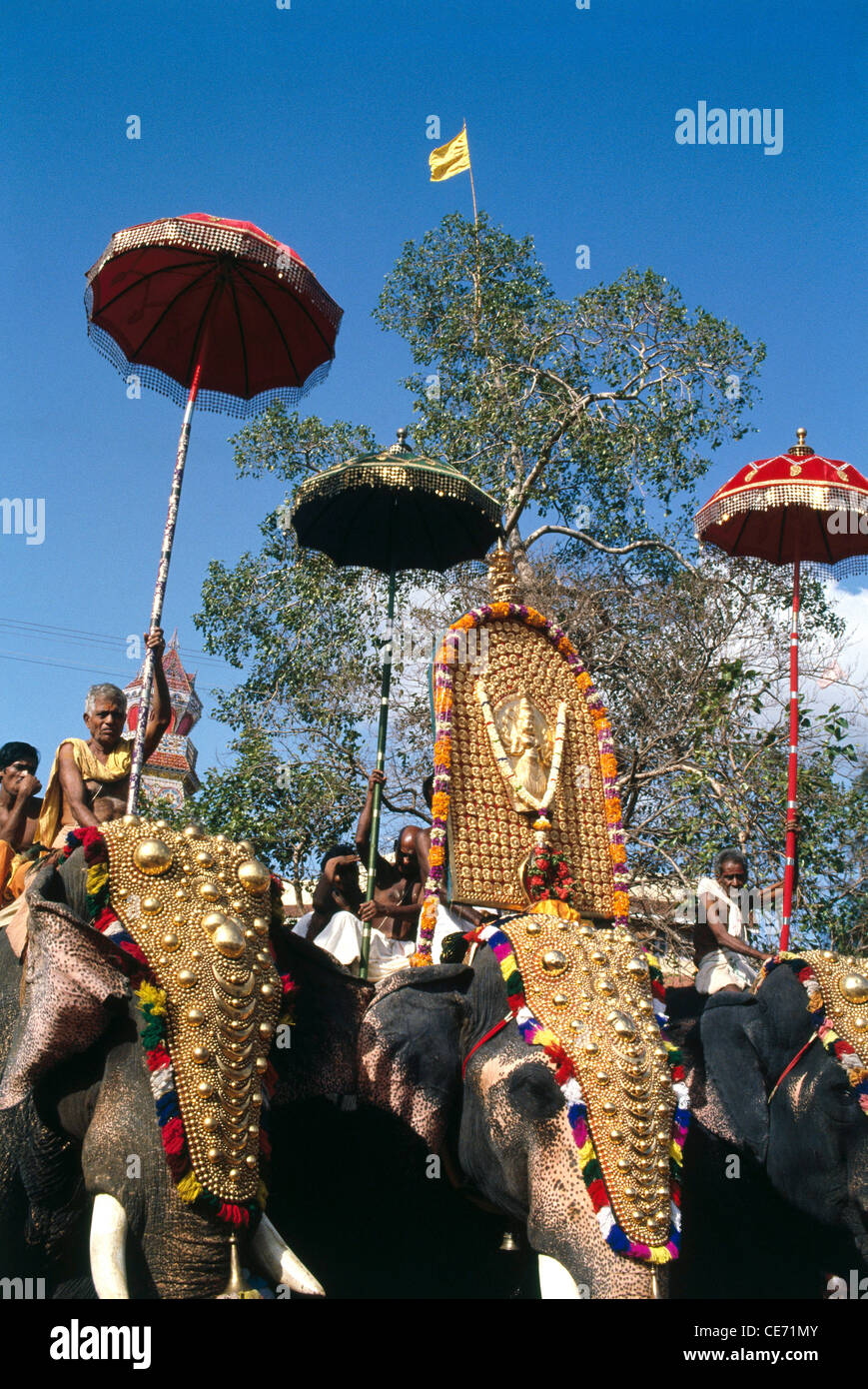 PRM 82426 : Elephant March Festival ; trichur puram ; kerala ; india ...