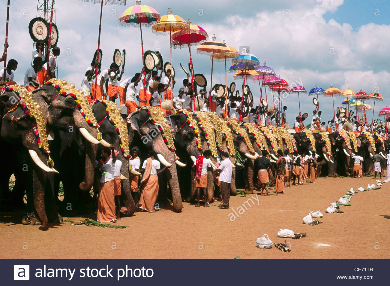 Trichur Pooram Elephant Stock Photos & Trichur Pooram Elephant Stock ...