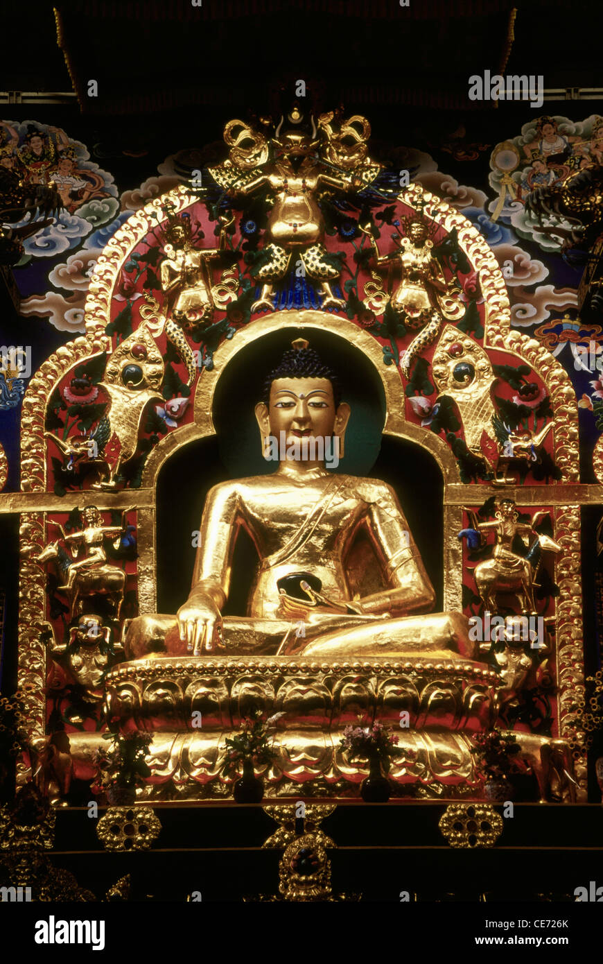 Nyingmapa dinodia hi-res stock photography and images - Alamy