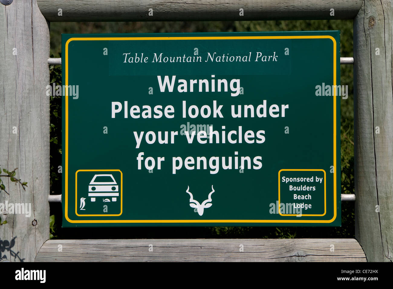 Penguin warning sign boulders beach hi-res stock photography and images ...
