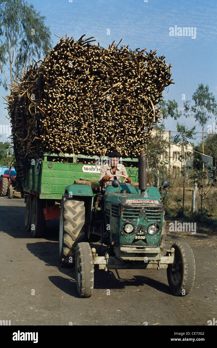 Sugarcane Transport High Resolution Stock Photography and Images - Alamy