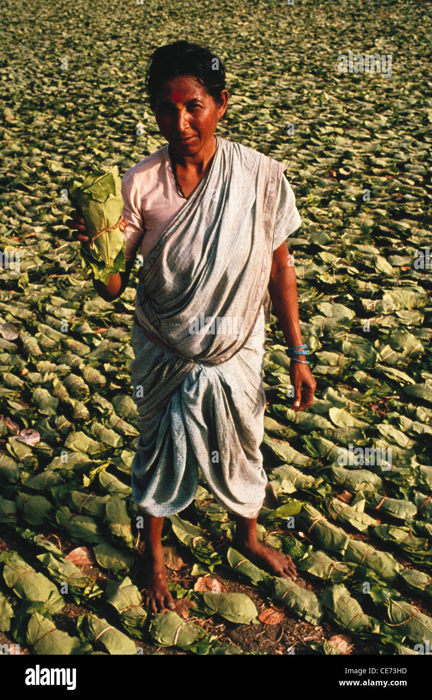 Tendu hi-res stock photography and images - Alamy