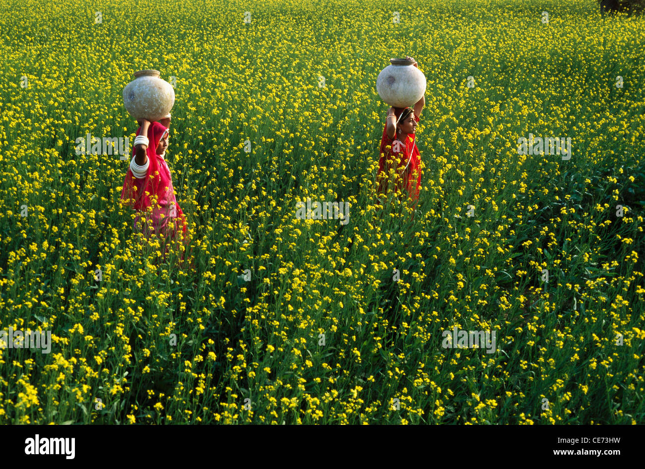 Balancing plant pot hi-res stock photography and images - Alamy