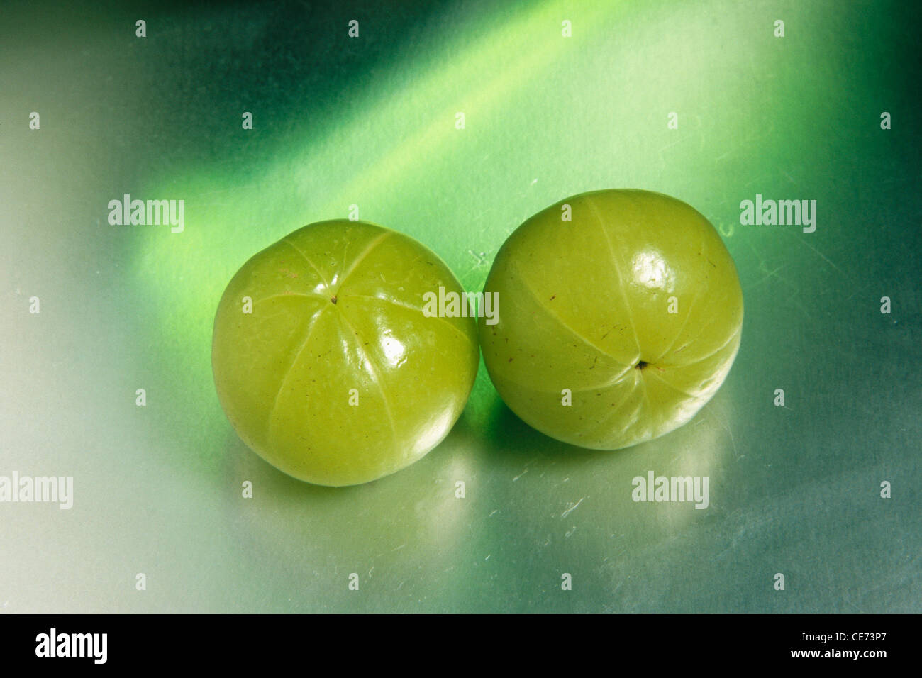 Amla, phyllanthus emblica, emblic, emblic myrobalan, myrobalan, Indian ...