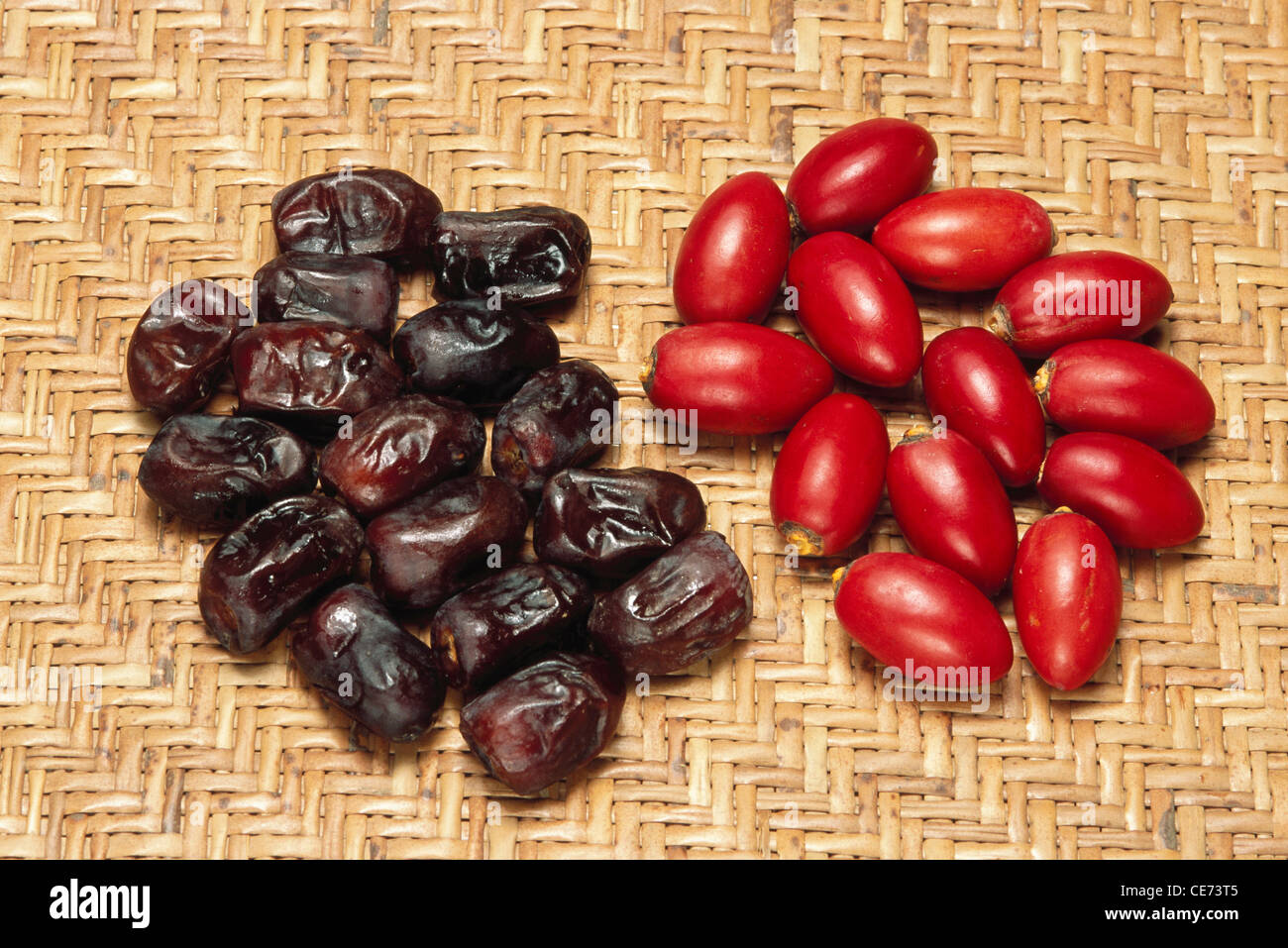 fresh palm tree fruit red dates and dried dates ; Phoenix Sylvestris ...