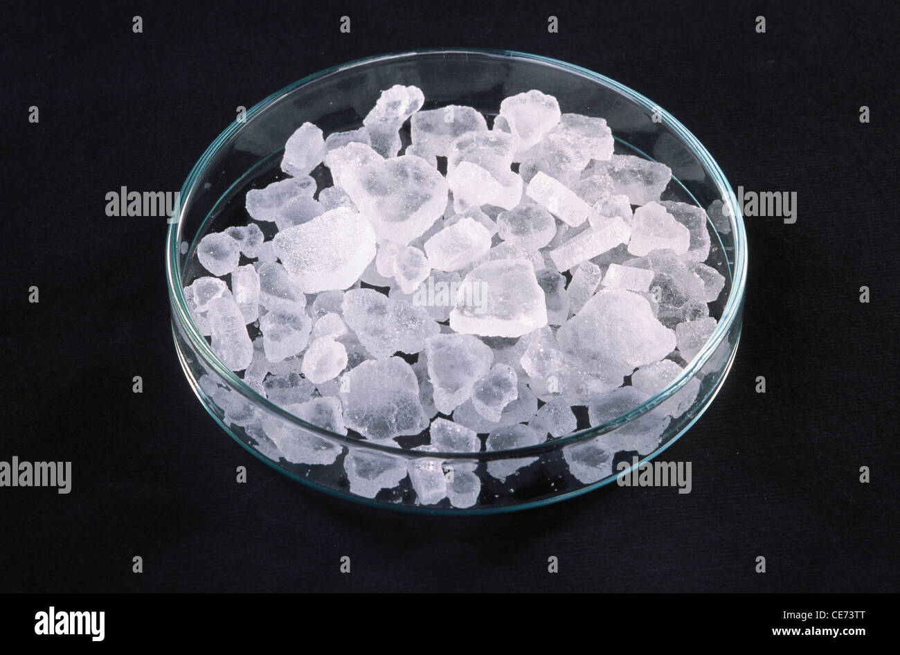 Camphor ; cinnamomum camphora ; kapur ; white camphor in round glass ...