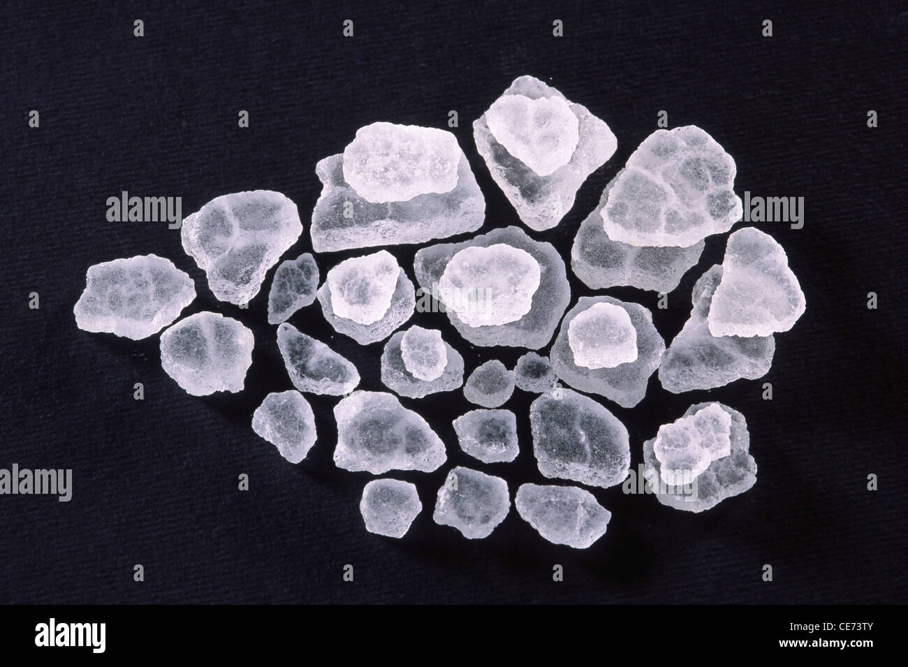 Camphor, cinnamomum camphora, kapur, white camphor on black background ...