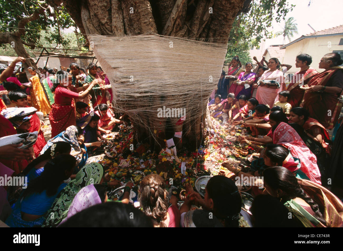 indian women praying to peepul tree worship india Stock Photo - Alamy