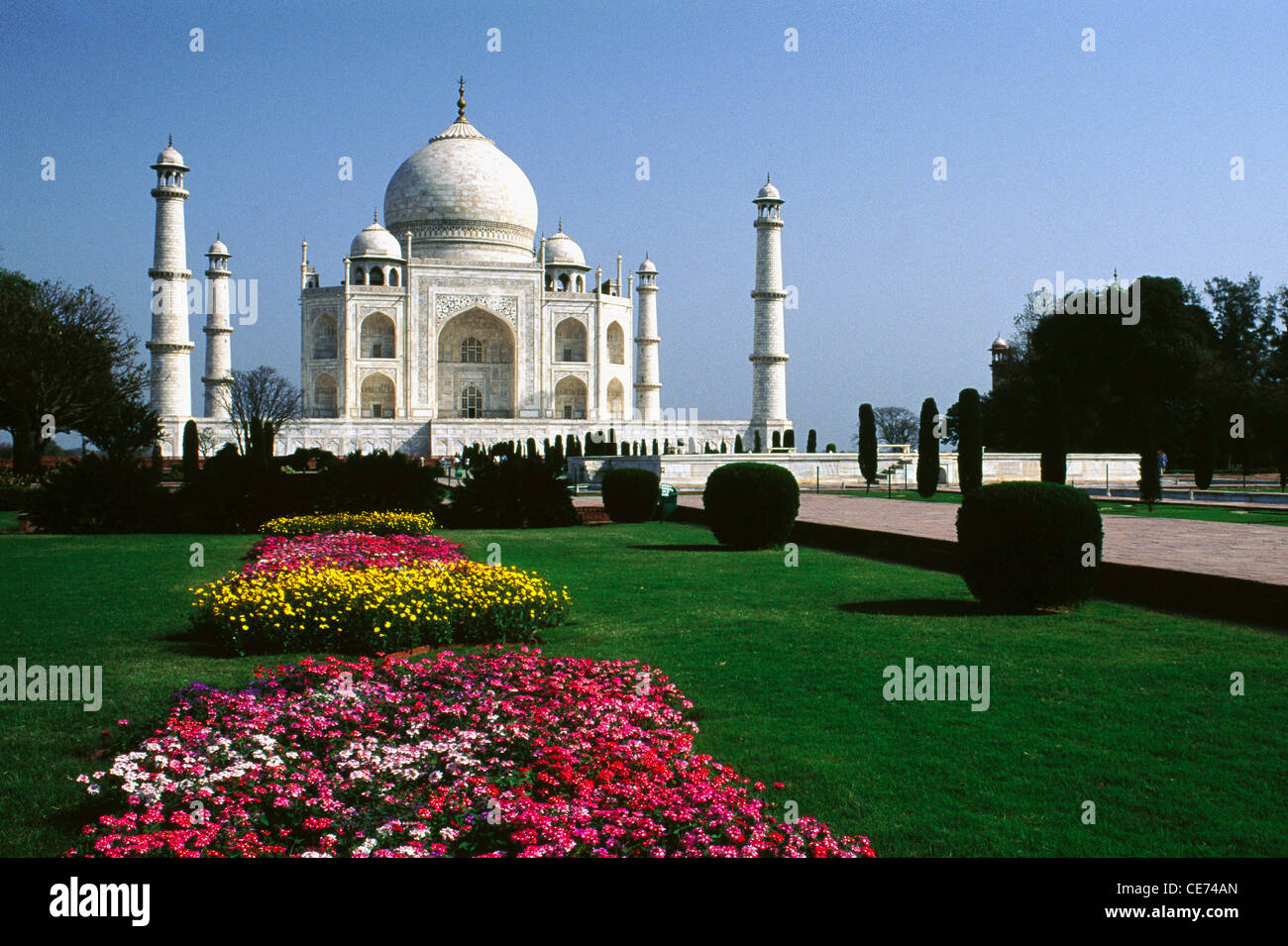 HMA 82147 : Taj Mahal with flowers in garden ; Agra ; Uttar Pradesh ...