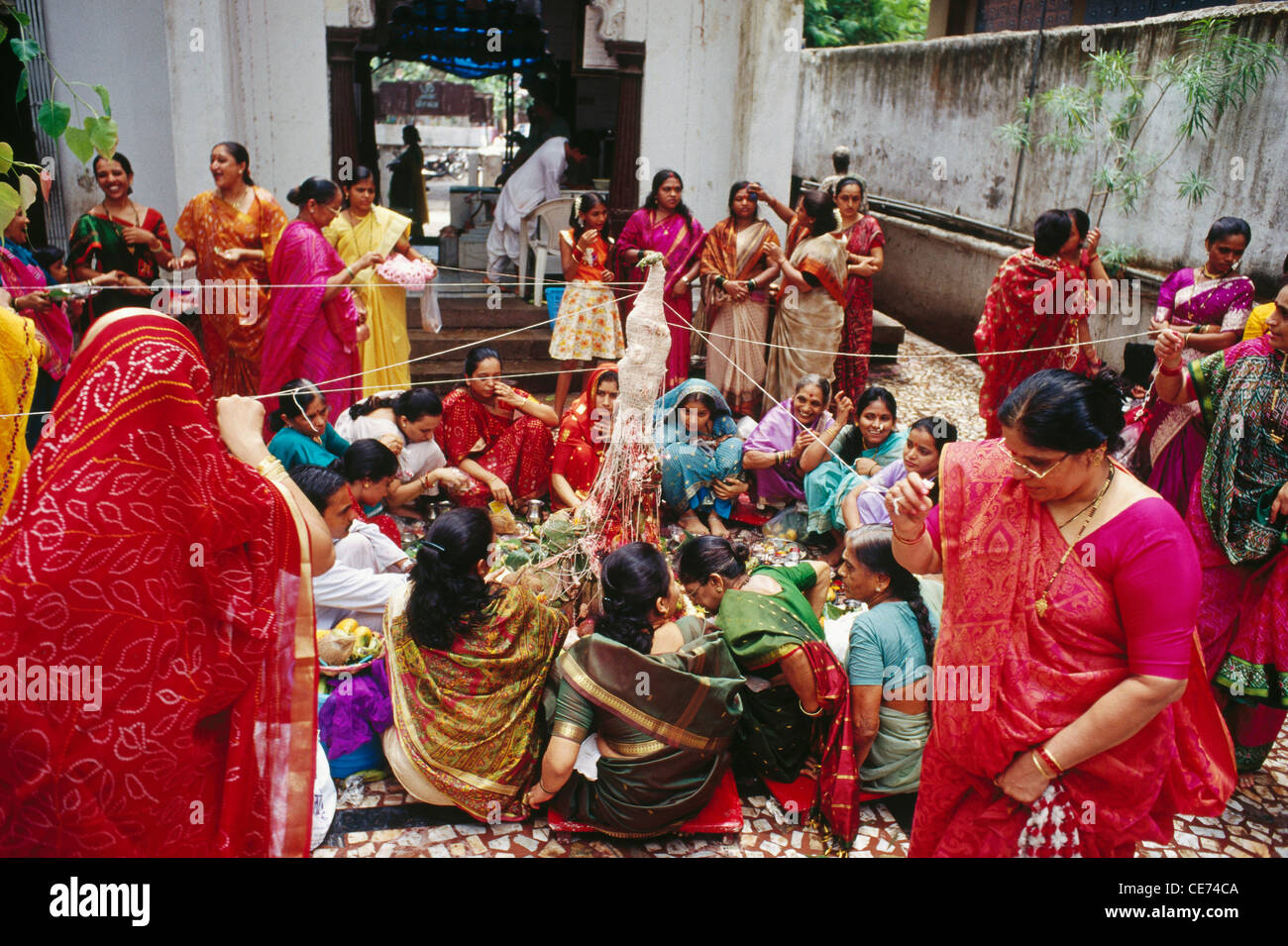 Indian Women tree worship Festival ; bombay mumbai ; maharashtra ...