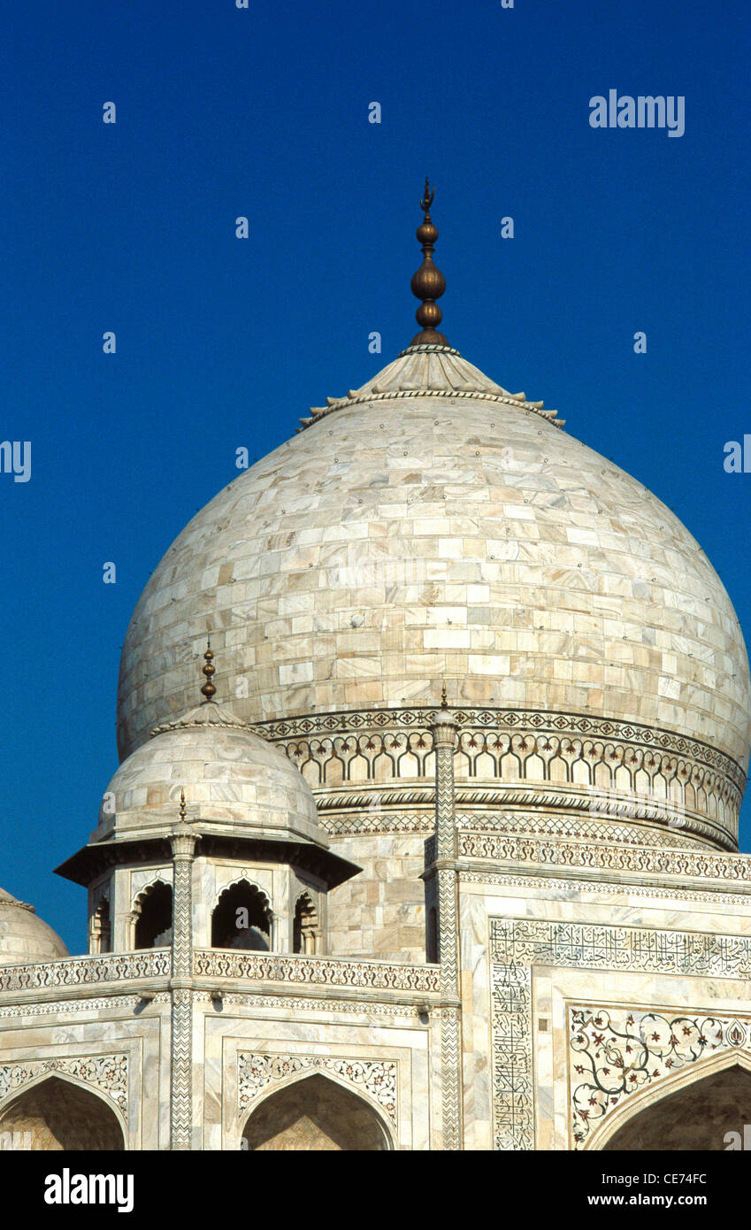 MBT 82149 : close up of Taj Mahal dome ; Agra ; Uttar Pradesh ; india ...