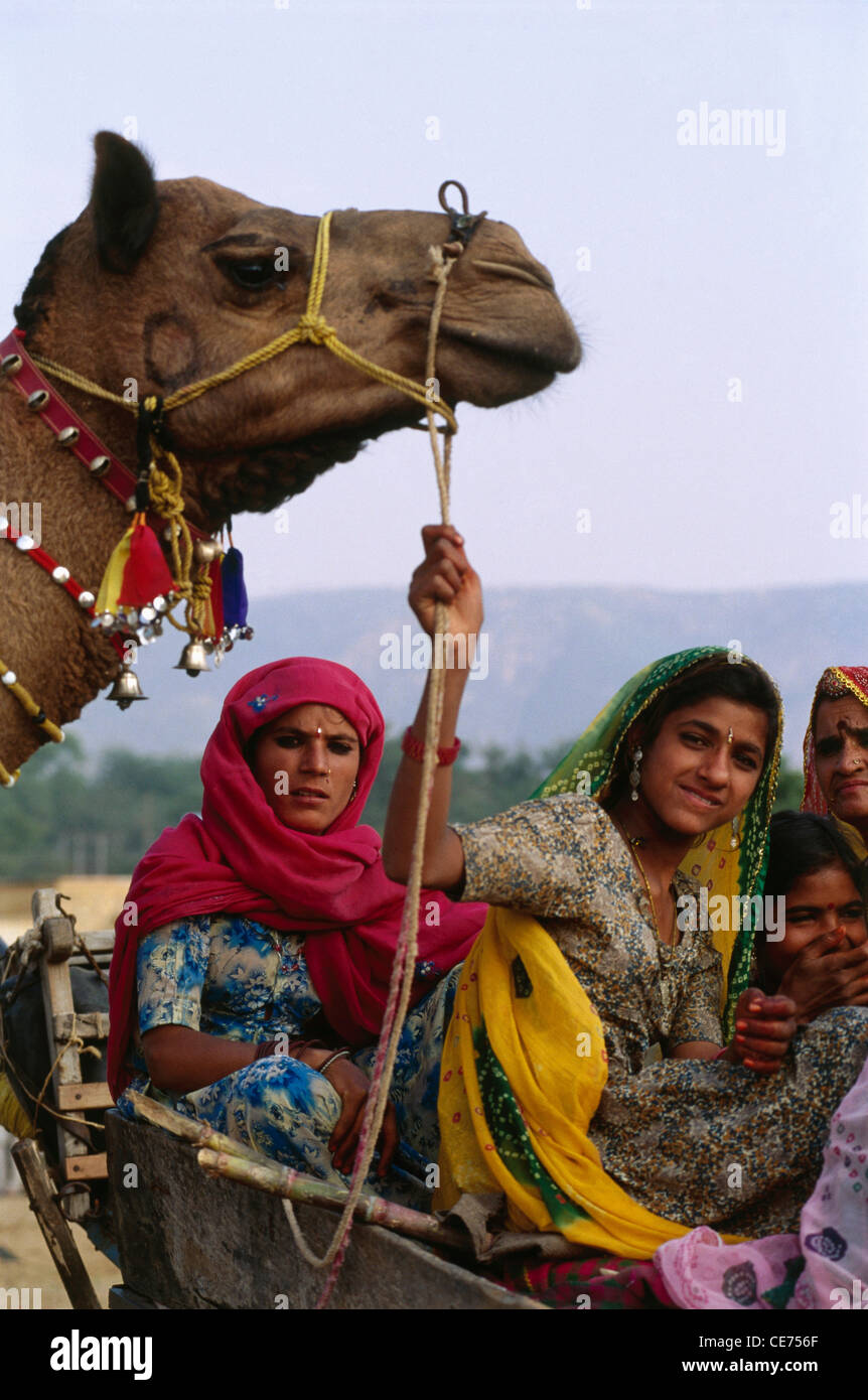 HMA 82272 : indian rajasthani women with camel pushkar fair rajasthan ...