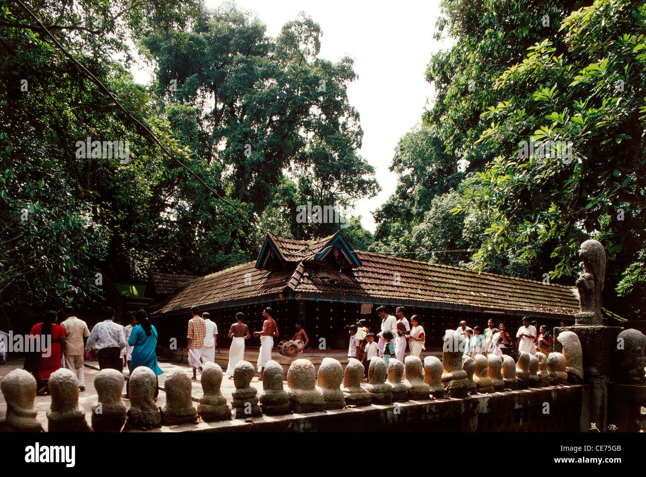 AAD 82390 : Nagraja snake Temple atharipao kerala india Stock Photo - Alamy