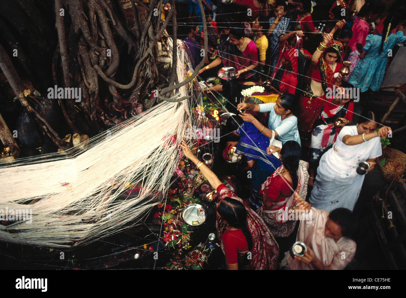 RVA 83063 : indian women celebrating vat poornima tree praying festival ...
