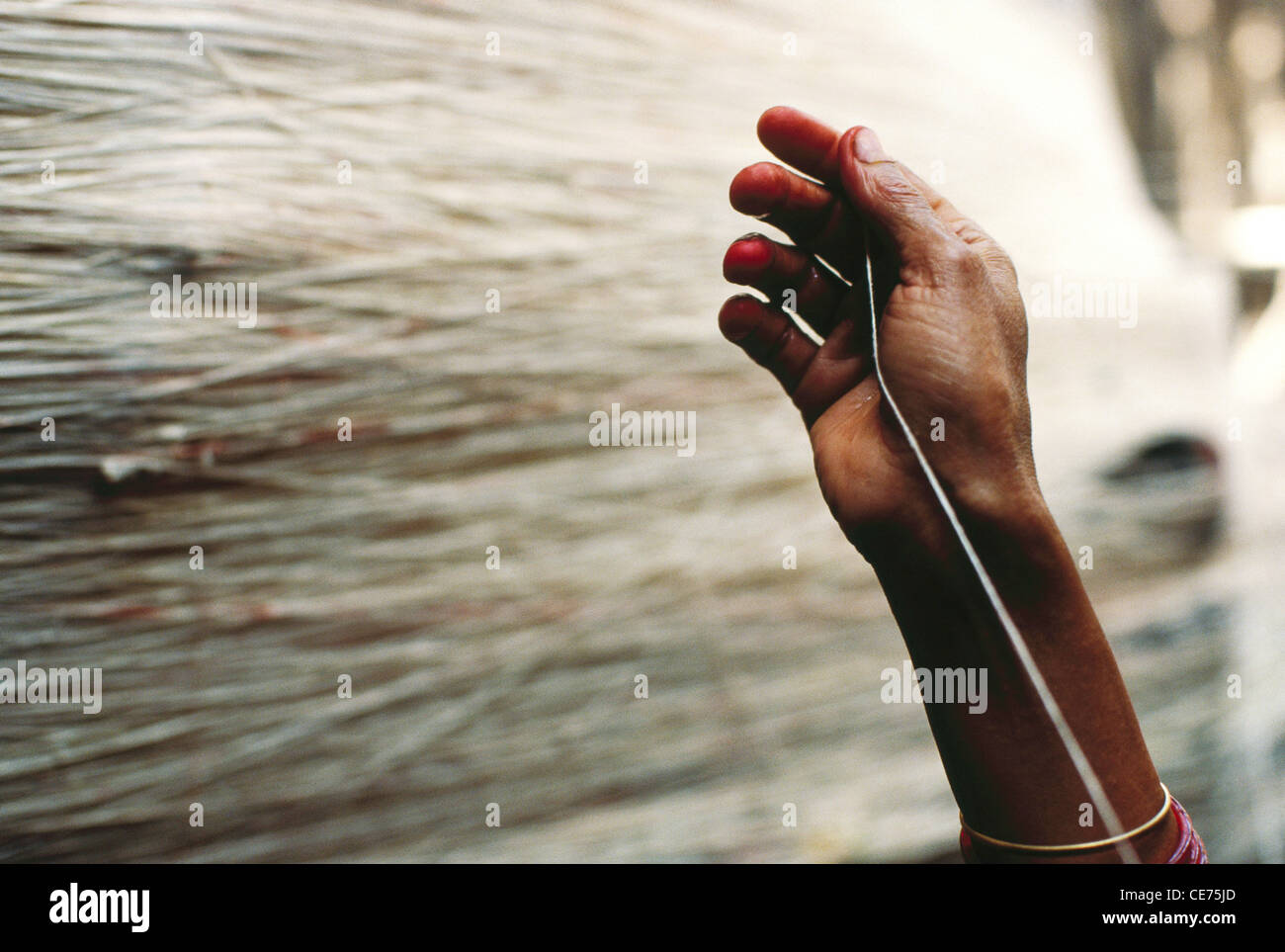 RVA 83069 : indian women with sacred thread in celebration of vat ...