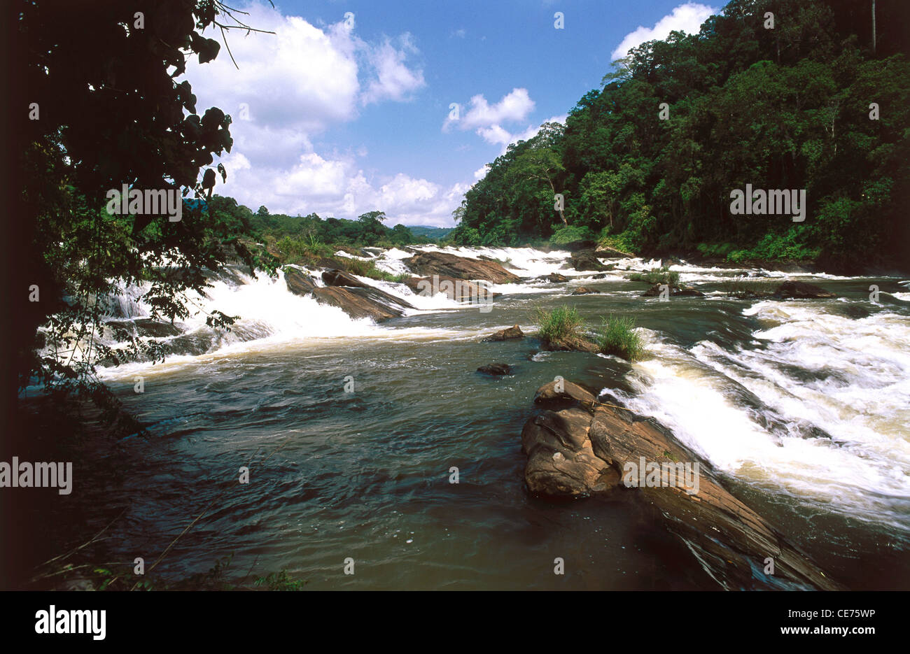 Chalakudy River ; Chalakudy Puzha ; chalakudy river ; Palakkad ...