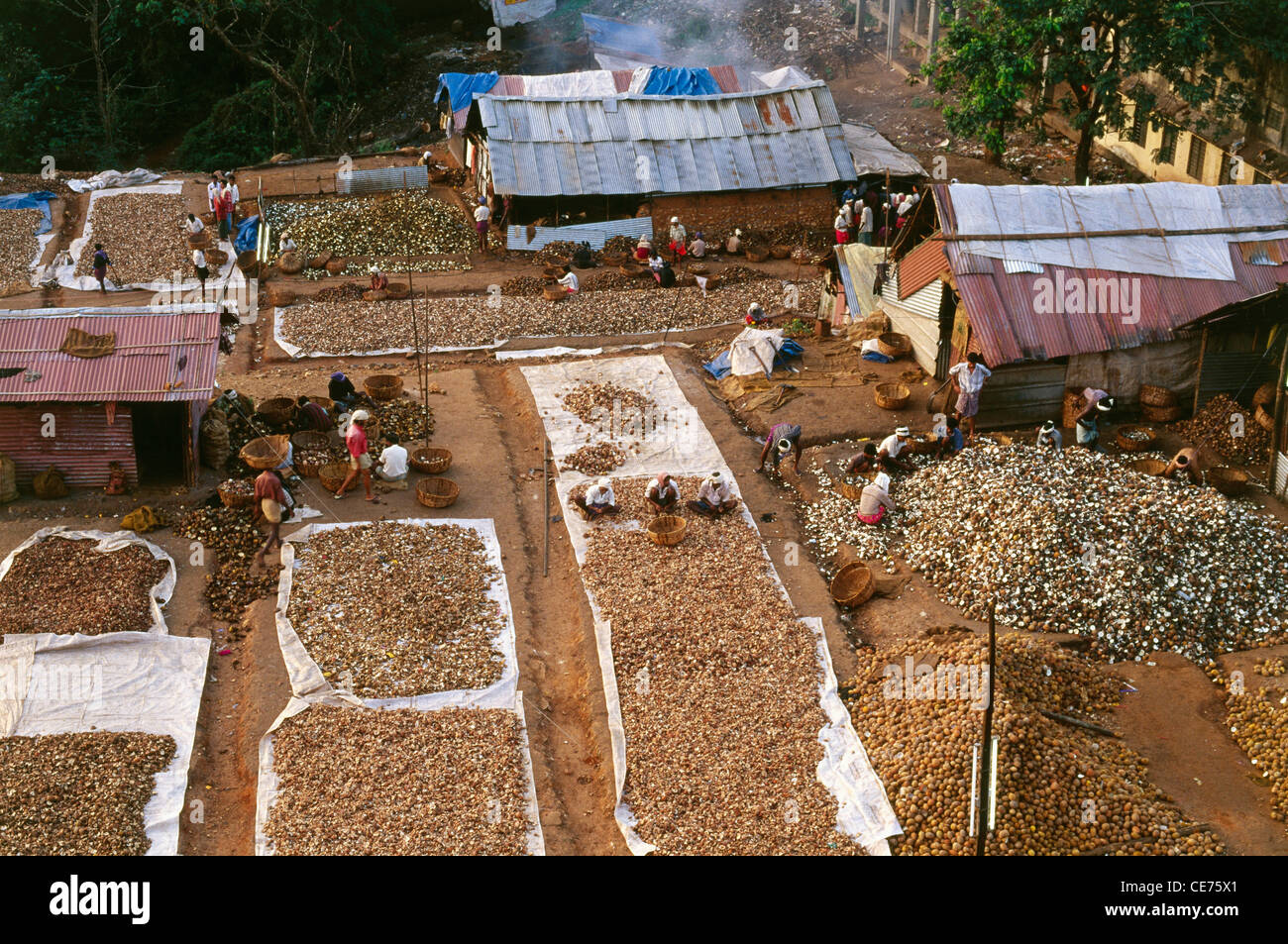 Sabarimala temple in kerala hi-res stock photography and images - Alamy