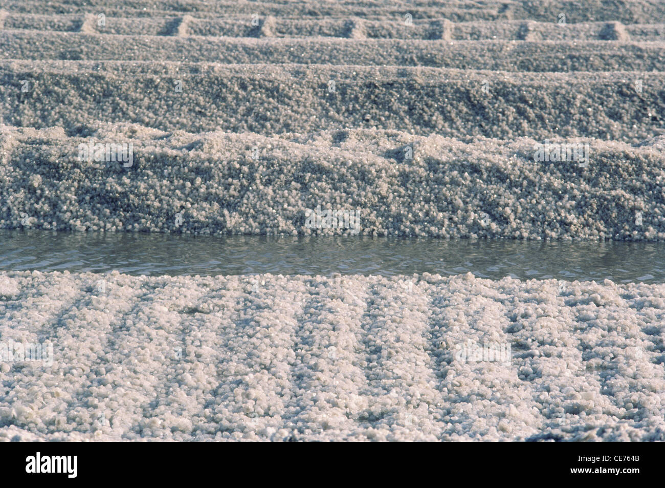 Little rann kutch salt hi-res stock photography and images - Alamy