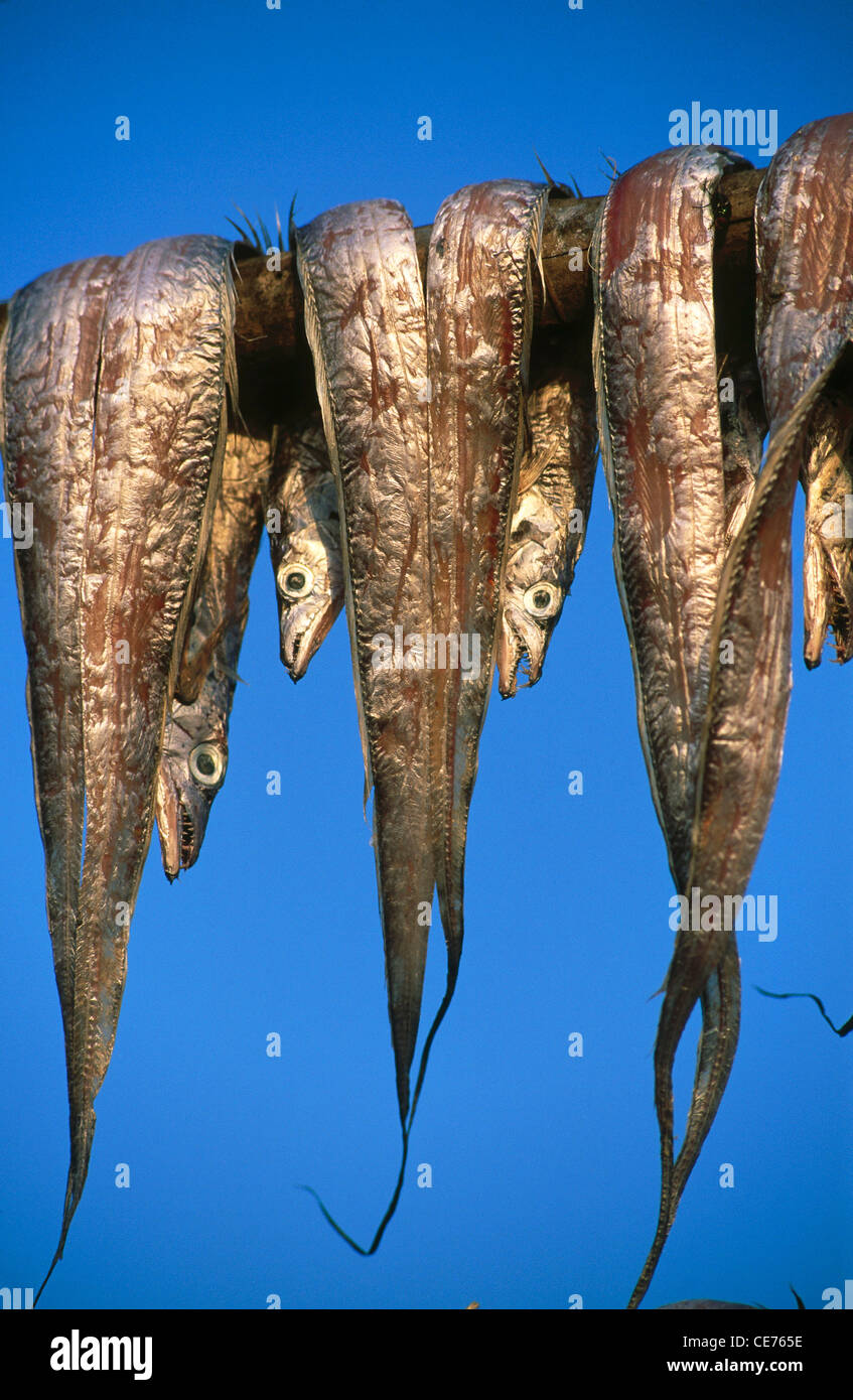 Alibaug fish hi-res stock photography and images - Alamy