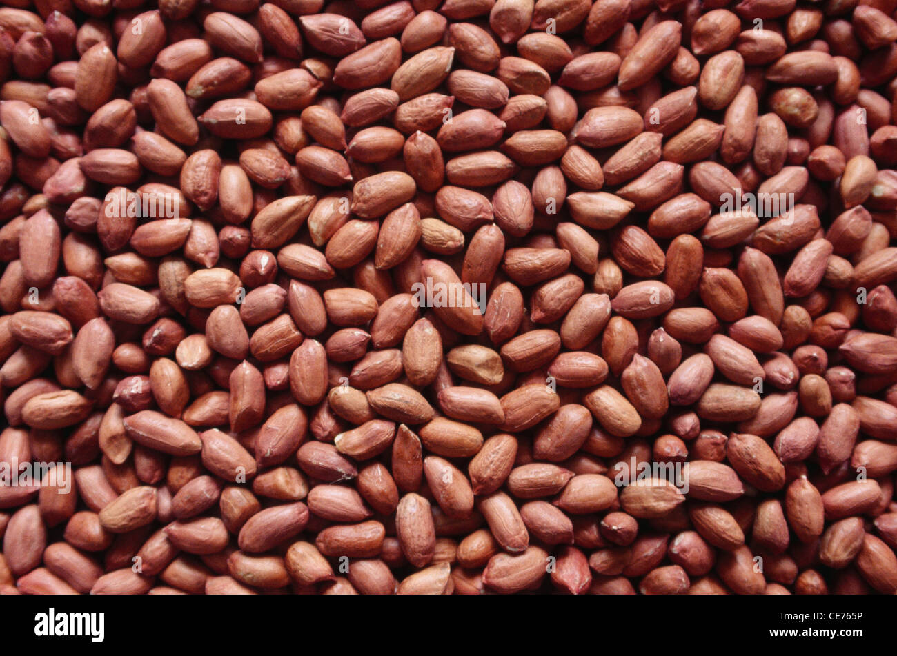 Indian groundnuts hi-res stock photography and images - Alamy