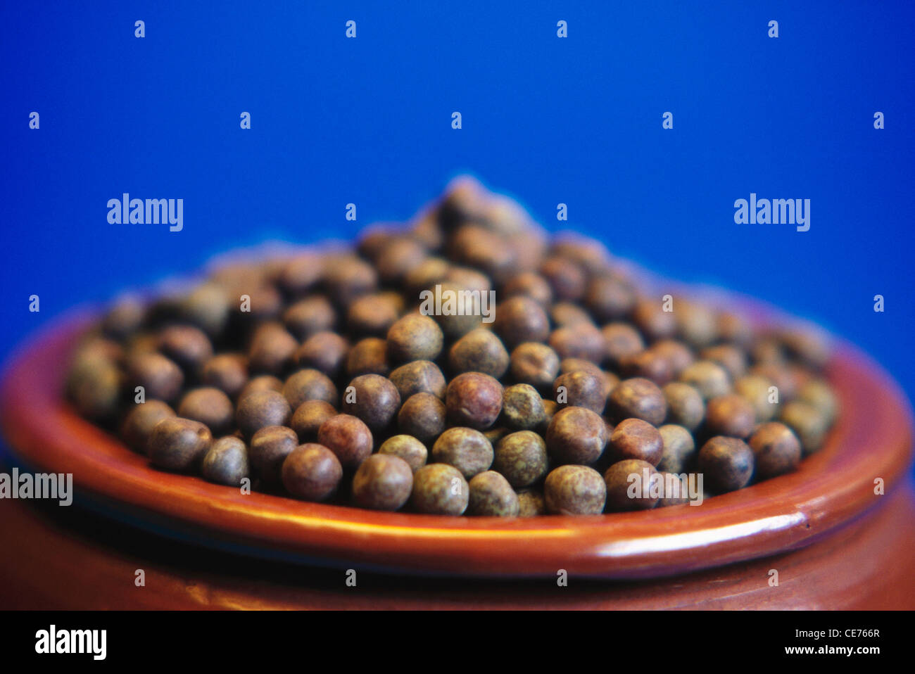 Dried Black Peas ; kala vatana ; Pisum Sativum in earthen pot on blue ...