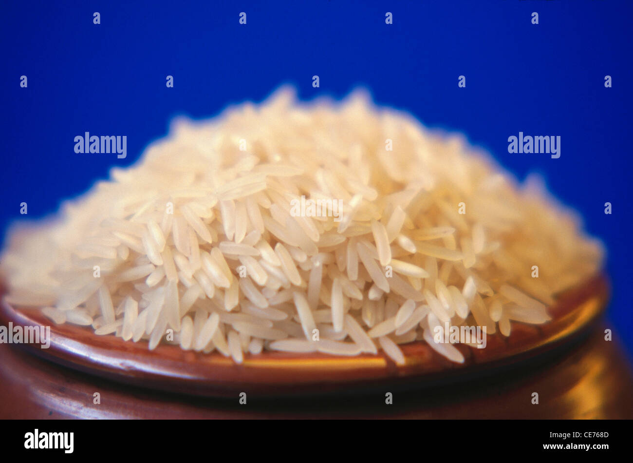 Basmati Rice seeds ; Oryza sativa in earthen pot on blue background ...