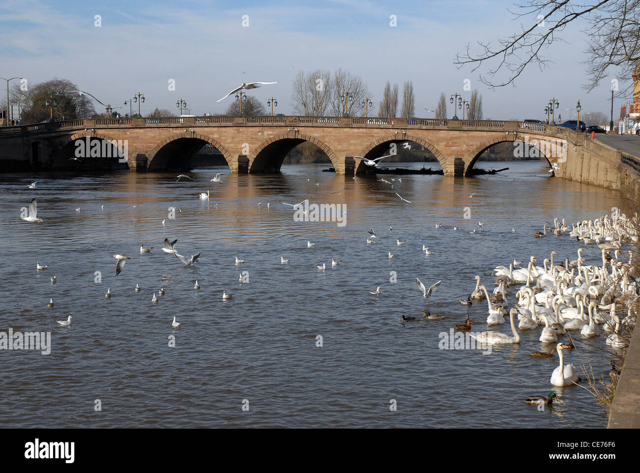River seven Worcester Stock Photo - Alamy