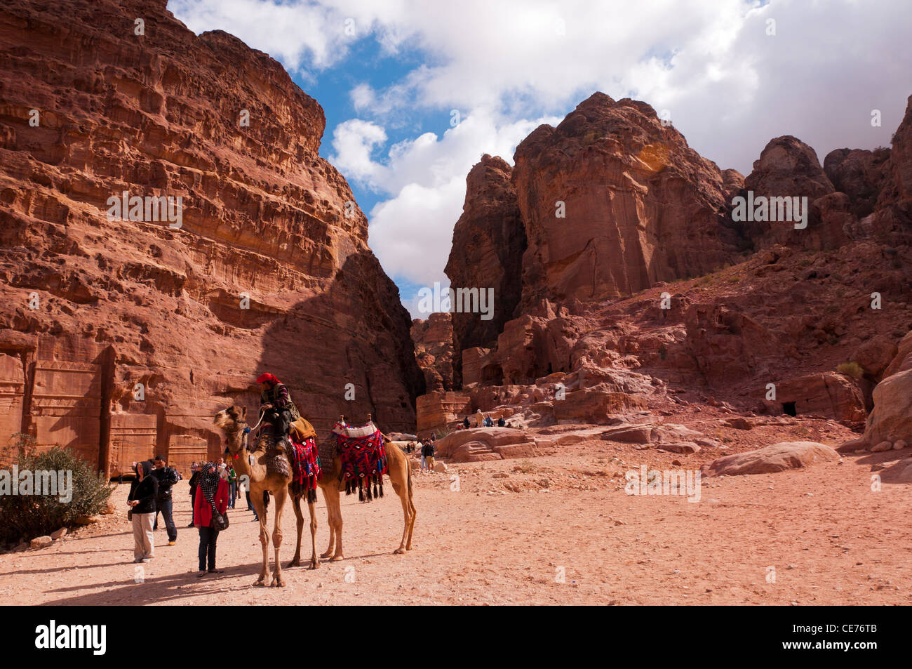 Petra Jordan camel taxi or rides around Petra Stock Photo - Alamy