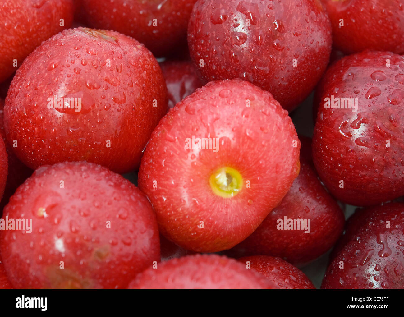 freshly picked heap of cherries Stock Photo - Alamy