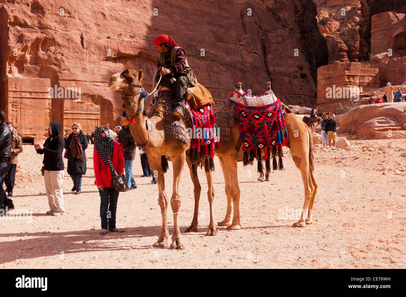 Petra Jordan camel taxi or rides around Petra Stock Photo - Alamy