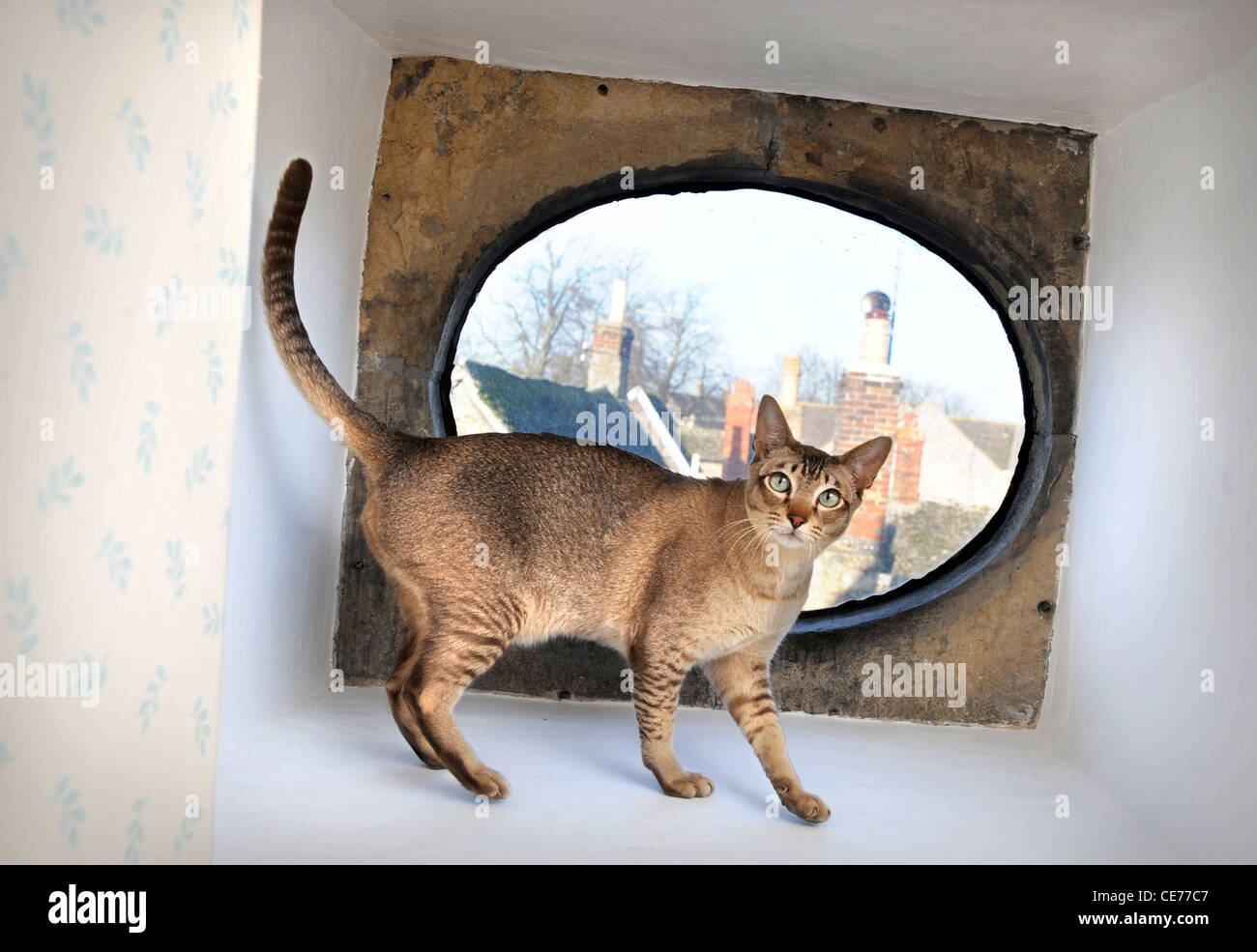 Old stone house round windows hi-res stock photography and images - Alamy