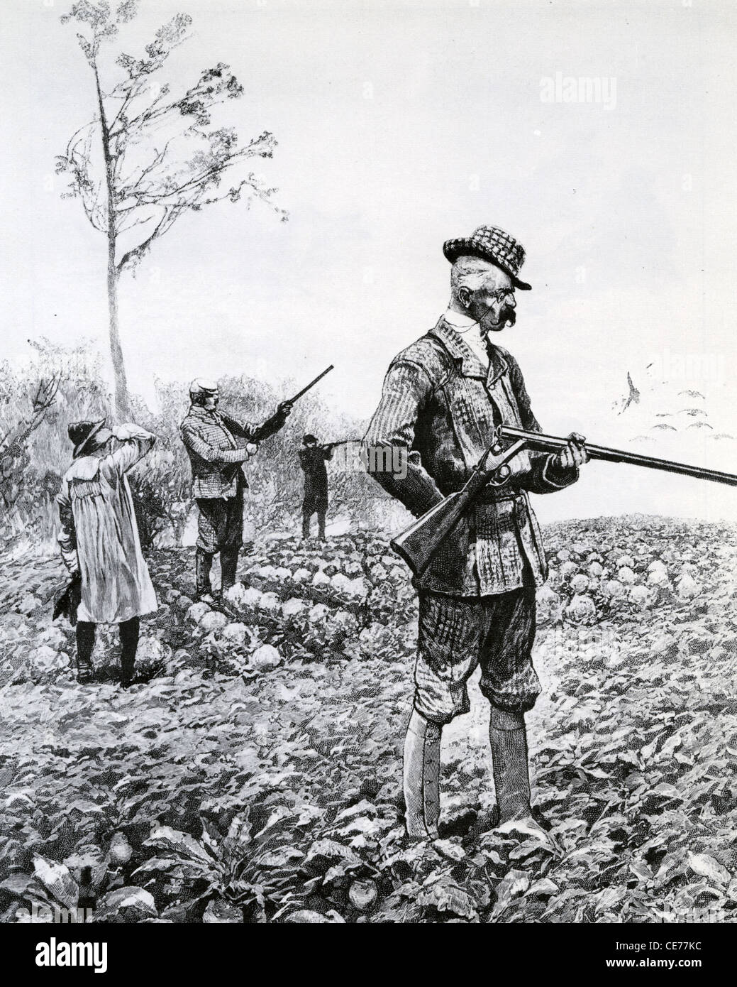 ENGLISH EDWARDIAN SHOOTING PARTY about 1910 Stock Photo: 43185616 - Alamy