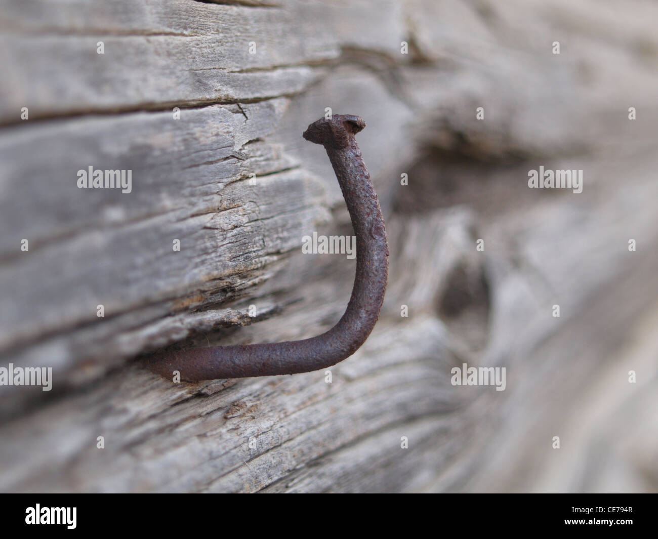 Old nail, rust, twisted Stock Photo - Alamy