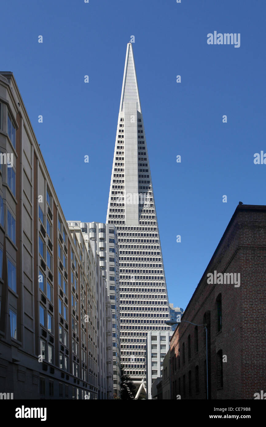 The Transamerica Pyramid, the tallest skyscraper in the San Francisco ...