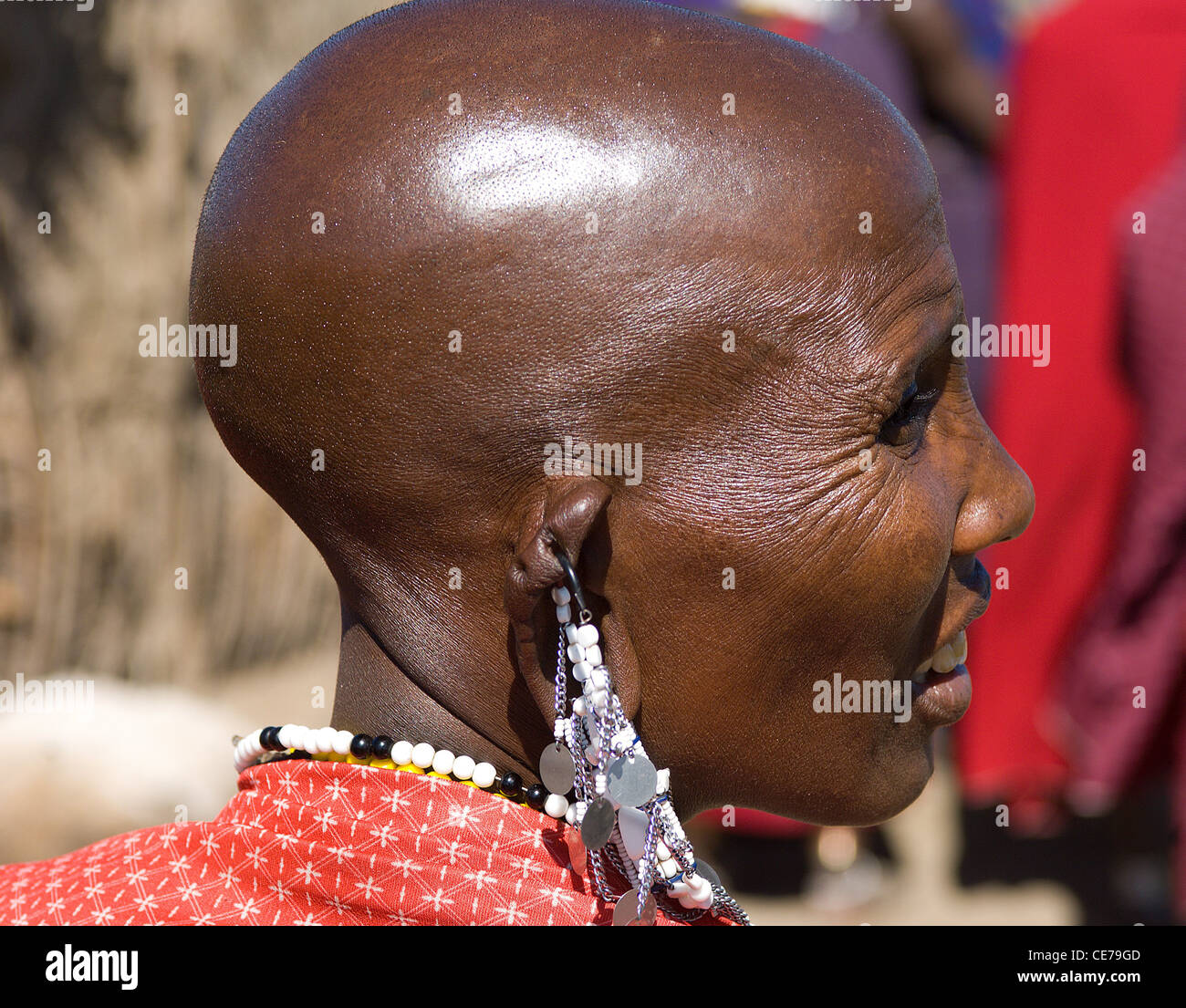 A Masai woman in Tanzania with the traditional shaved head and split ...