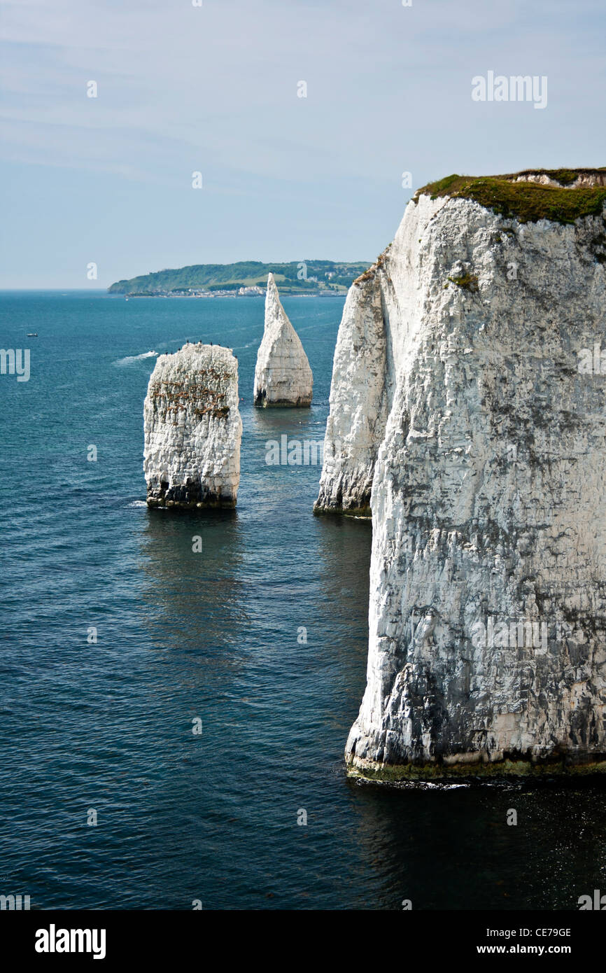 Old Harry Rocks in Dorset Stock Photo - Alamy