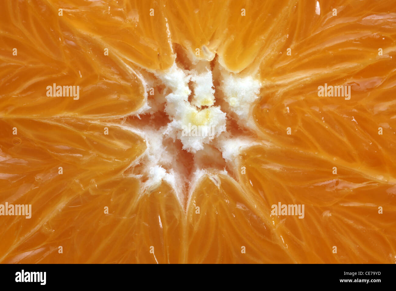 Juicy citrus color hi-res stock photography and images - Alamy