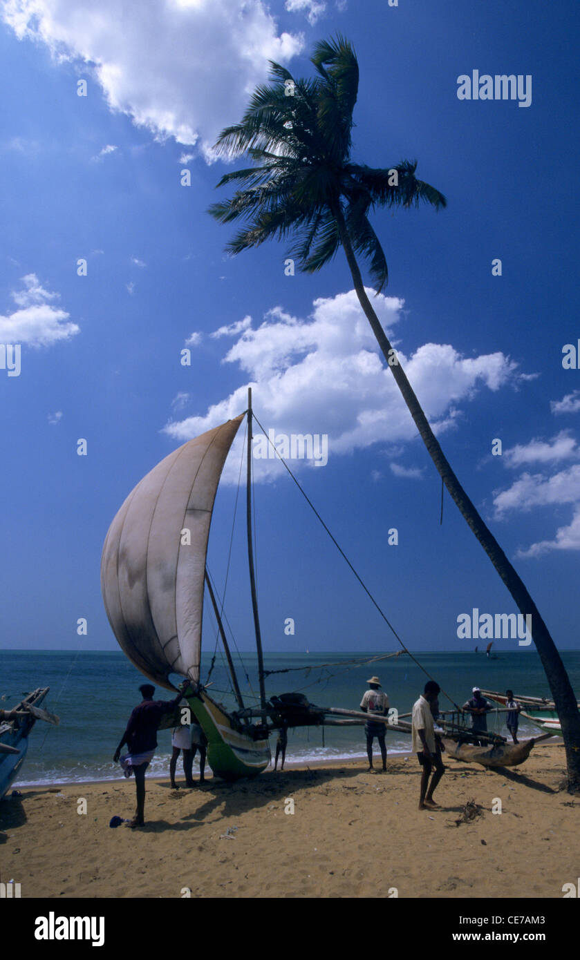 Local sailing boat, Negombo beach, Sri Lanka Stock Photo - Alamy