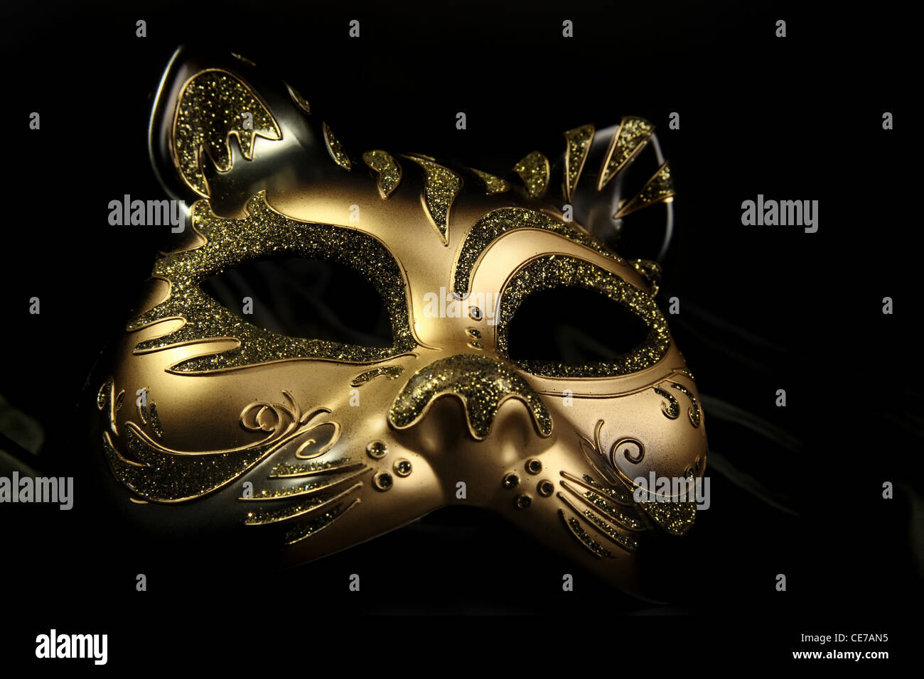 Cat venetian carnival costume hi-res stock photography and images - Alamy