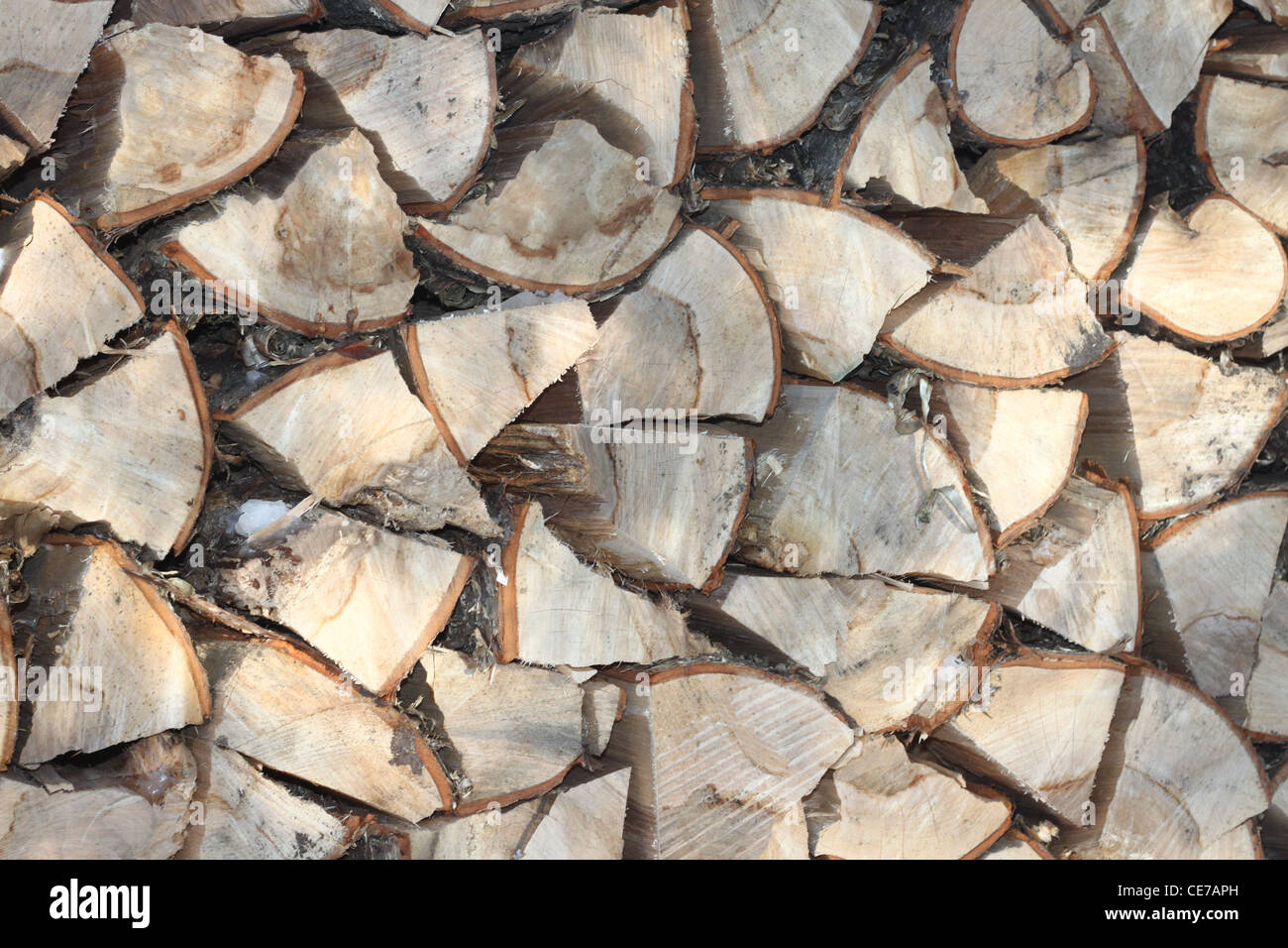 Cross section of wood hi-res stock photography and images - Alamy