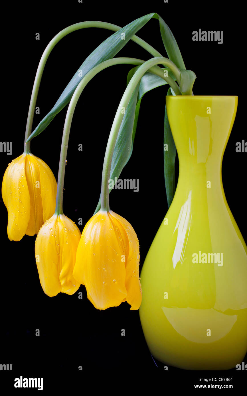 Drooping flowers hi-res stock photography and images - Alamy