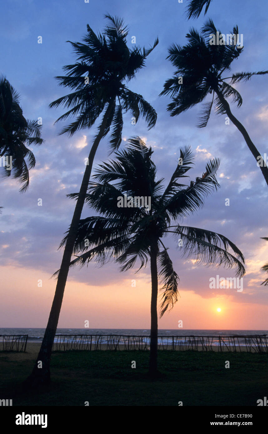 Sunset on Kalutara beach, Sri Lanka Stock Photo - Alamy