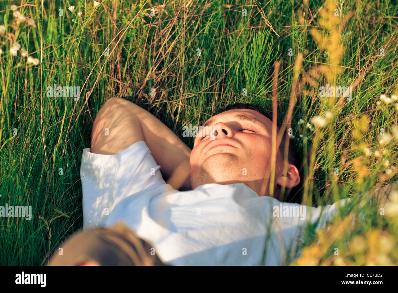 young adult man in spring grass Stock Photo - Alamy
