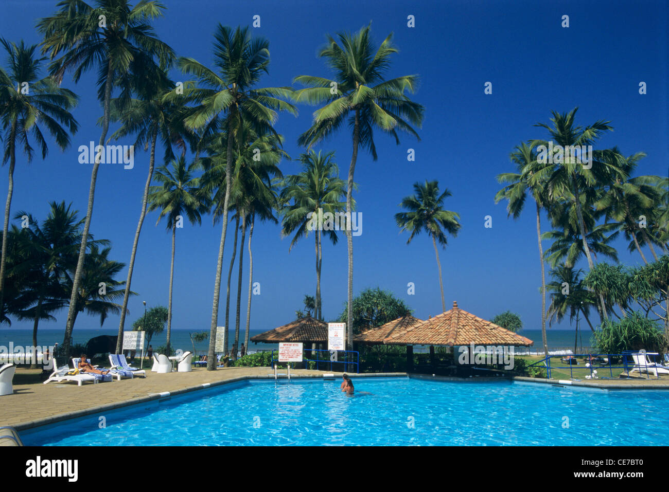 Swimming-pool of Hotel Tangerine, Kalutara , Sri Lanka Stock Photo - Alamy