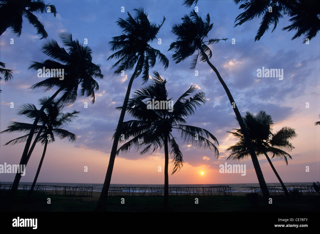 Kalutara beach sri lanka hi-res stock photography and images - Alamy