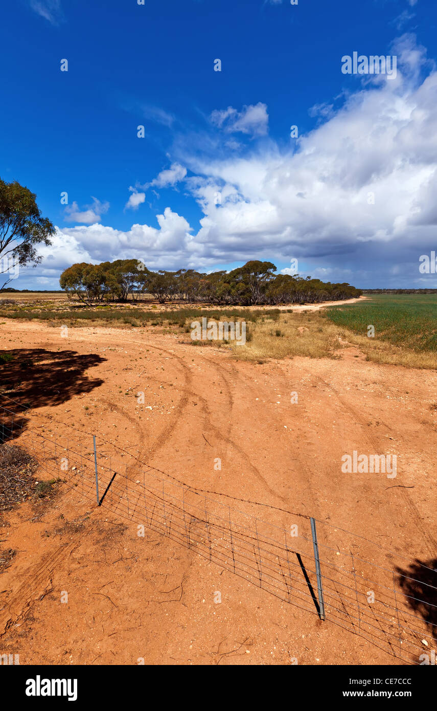 Loxton Stock Photos & Loxton Stock Images - Alamy