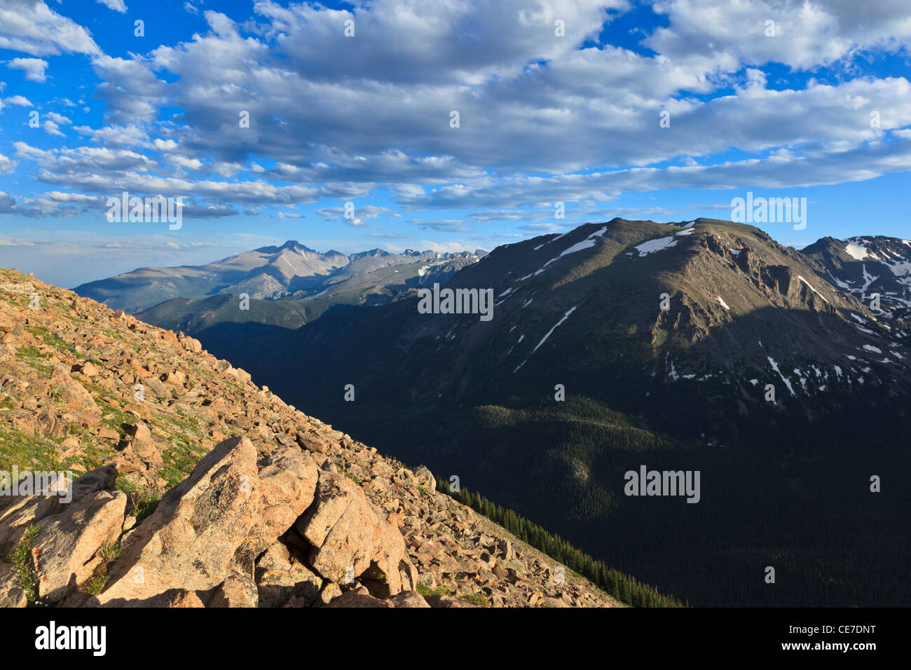 USA, Colorado, Rocky Mountain National Park, Long's Peak from Forest ...