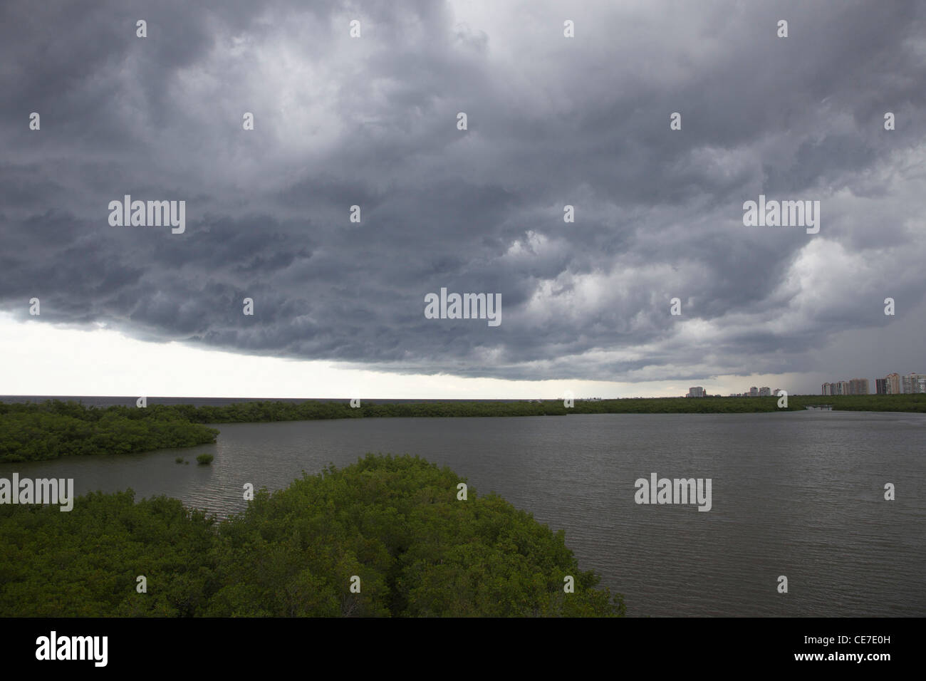 USA, Florida, Clam Bay stormy landscape Stock Photo - Alamy