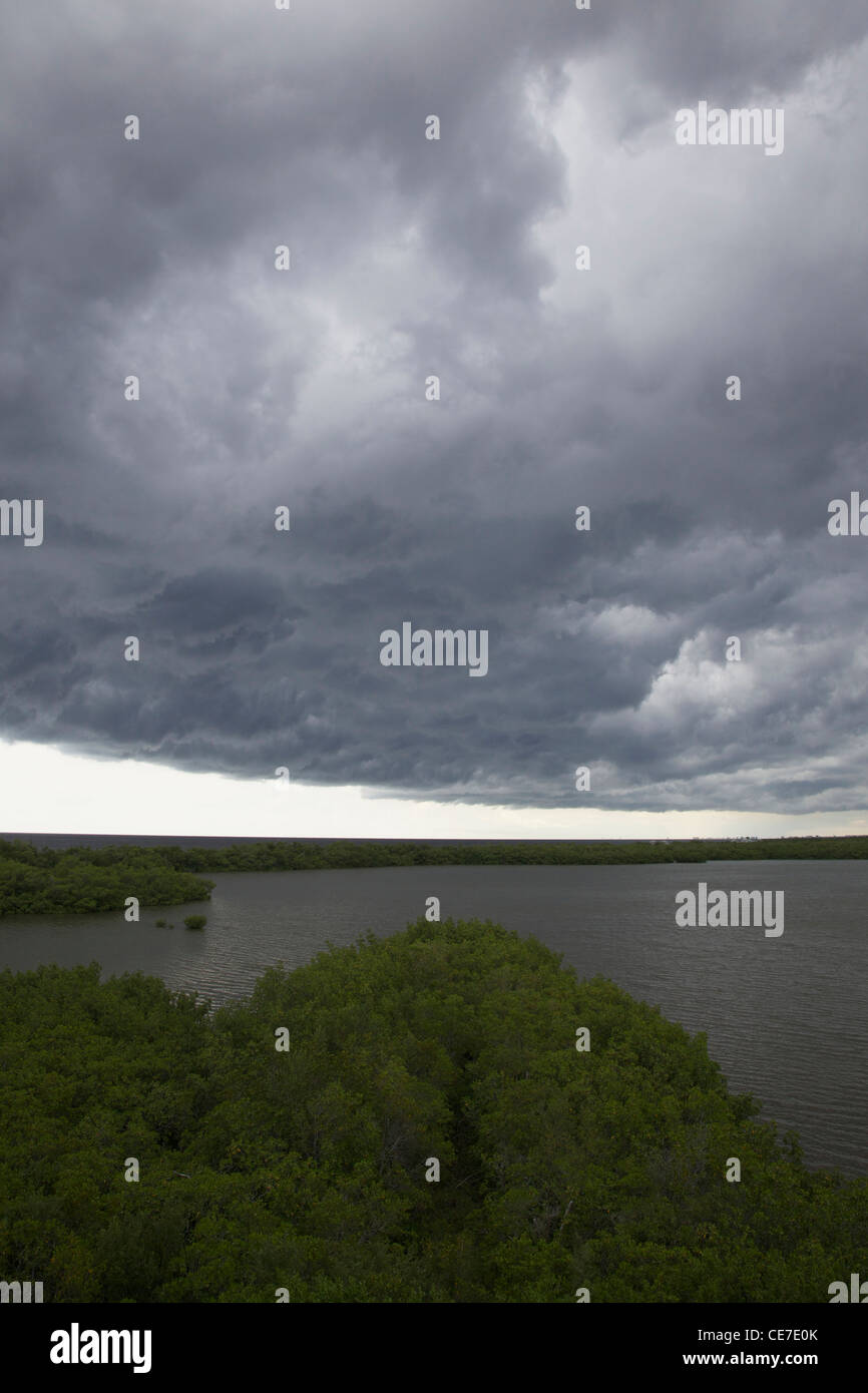 USA, Florida, Clam Bay stormy landscape Stock Photo - Alamy