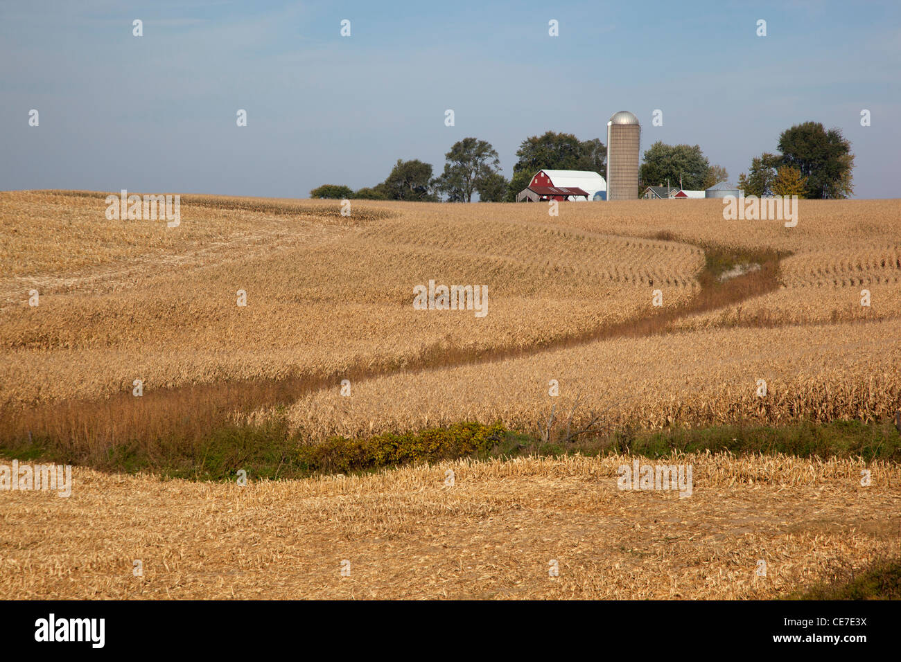 Iowa cornfield hi-res stock photography and images - Alamy